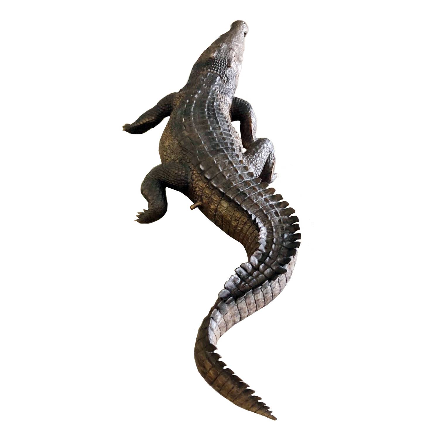 Bronze Large Crocodile Fountain Sculpture - Florida Bronze Statues ...